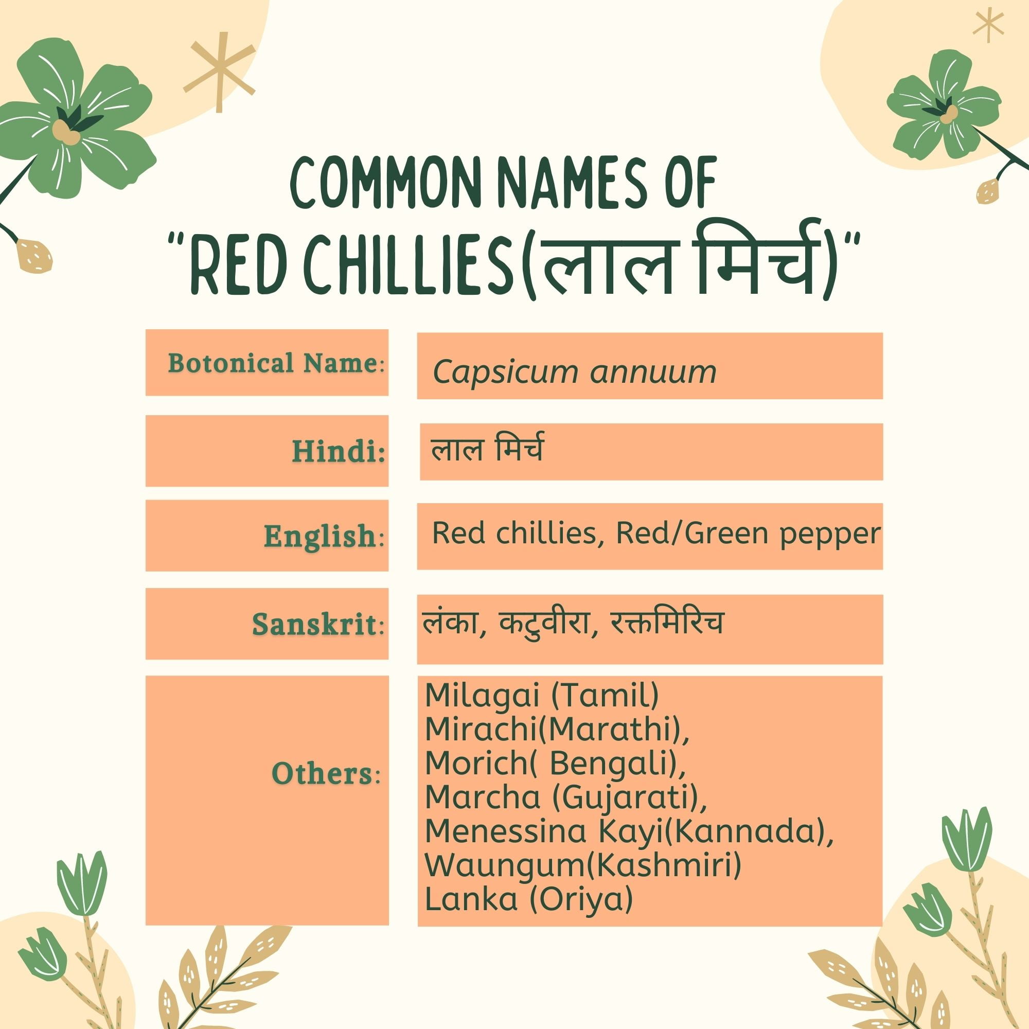 Chilli (मिर्च) (Capsicum annuum) Intro, Benefits, Gallery— Herbal Arcade