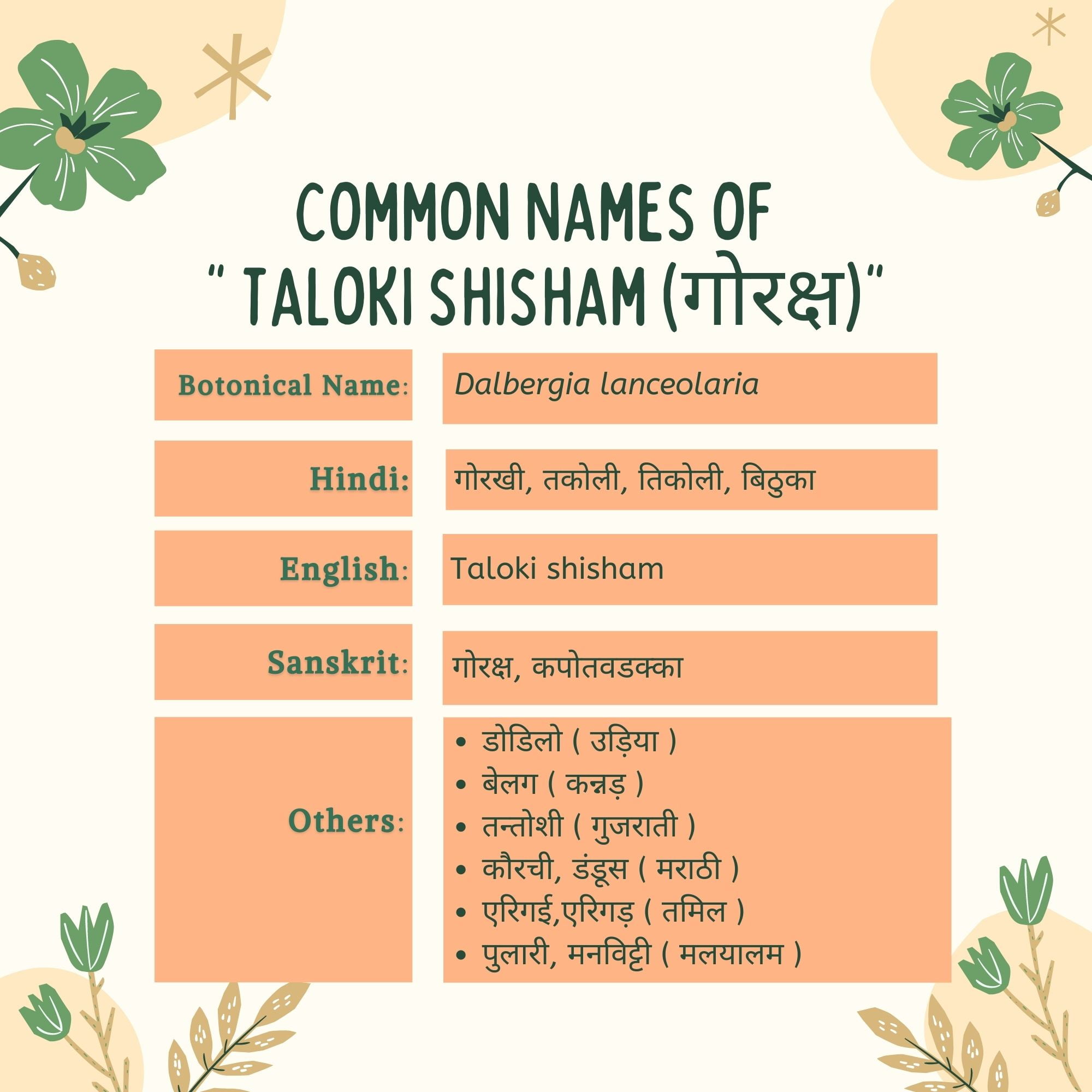 गोरक्ष: फायदे, सेवन (Goraksha: benefits, usages) — Herbal Arcade