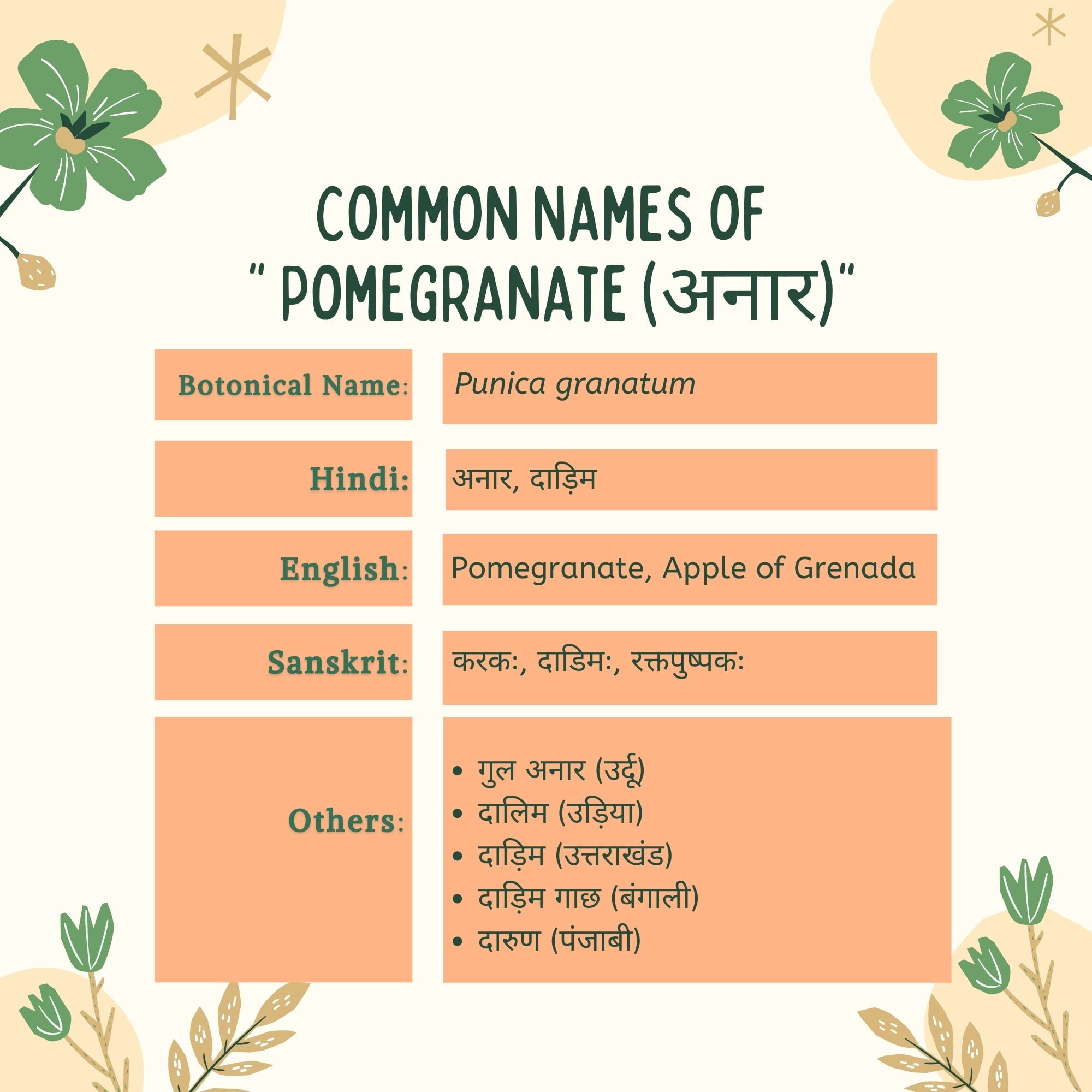 अनार (Pomegranate): ये है अनार जो कोई खाता अपनी सेहत खूब बनाता (know 36 ...