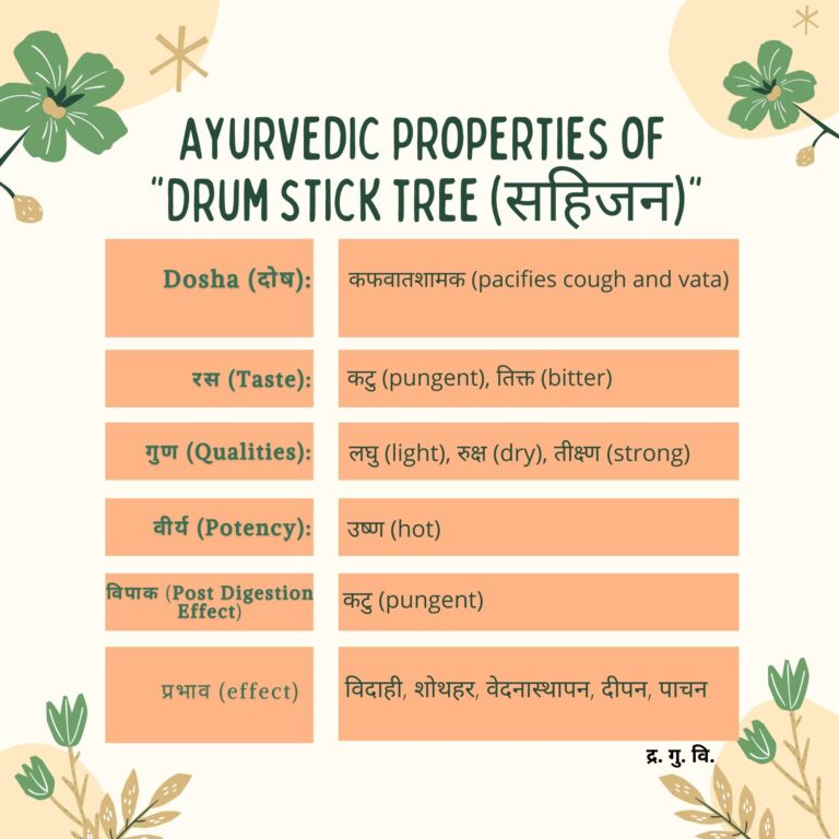 सहजन (Sahjan): 30 से ज्यादा फायदे और ज़ायका भी लाज़वाब(Moringa ...