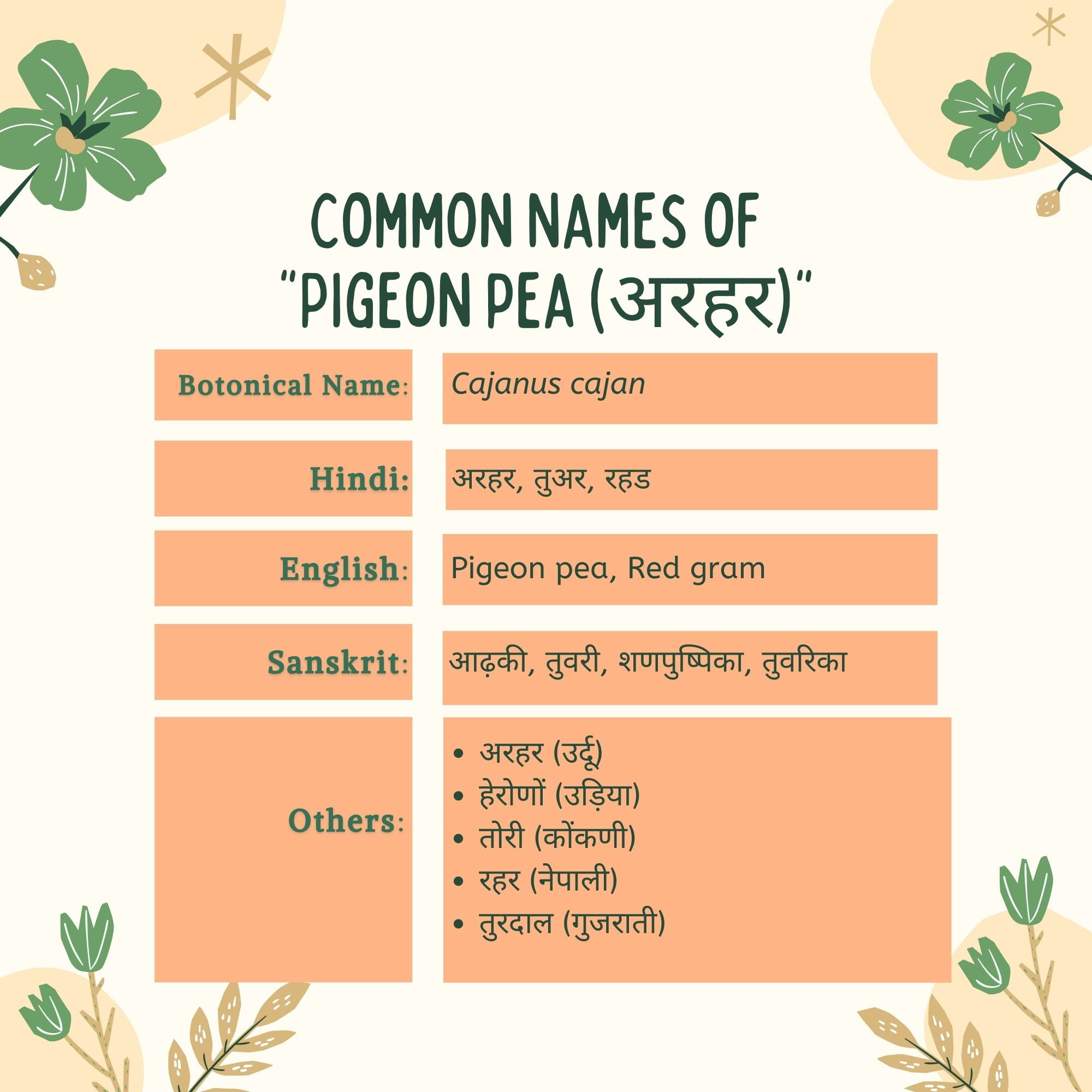 अरहर (Arhar) — Herbal Arcade