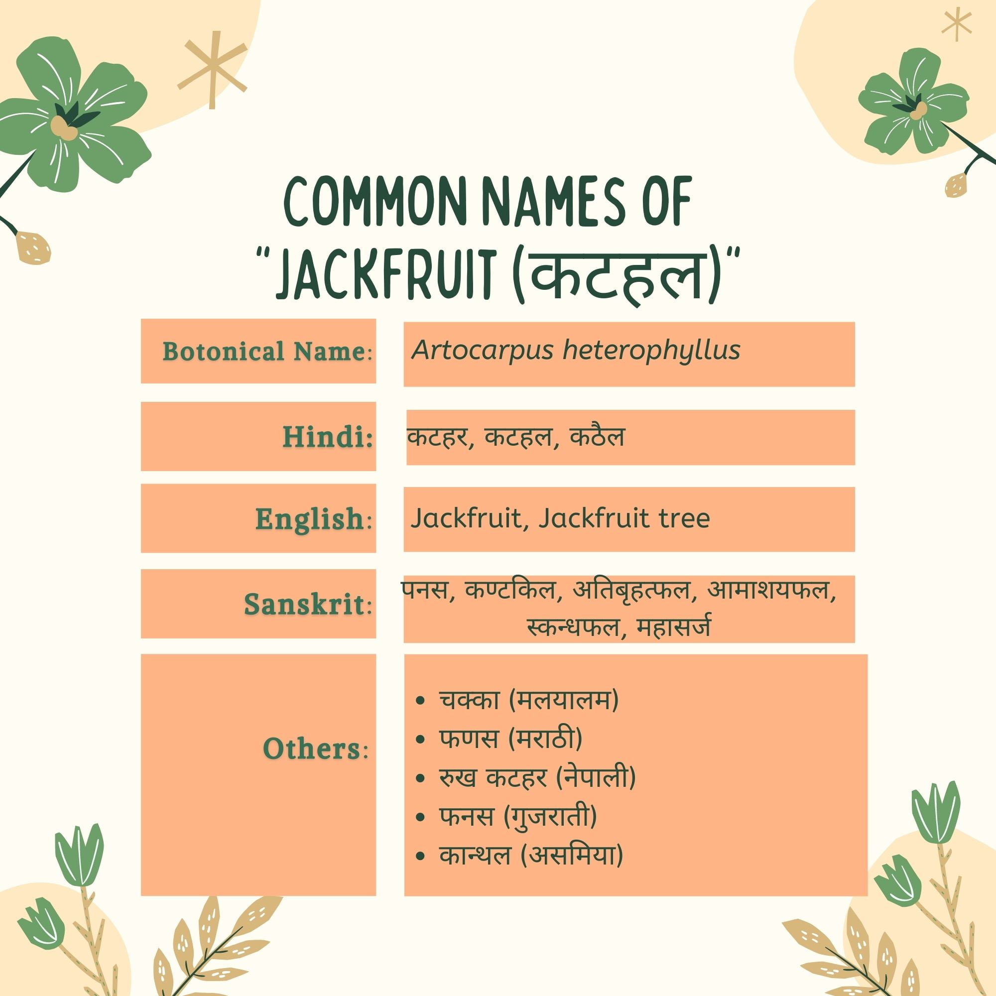 कटहल: आकार और गुण दोनों में धनी है ये फल (Kathal) — Herbal Arcade