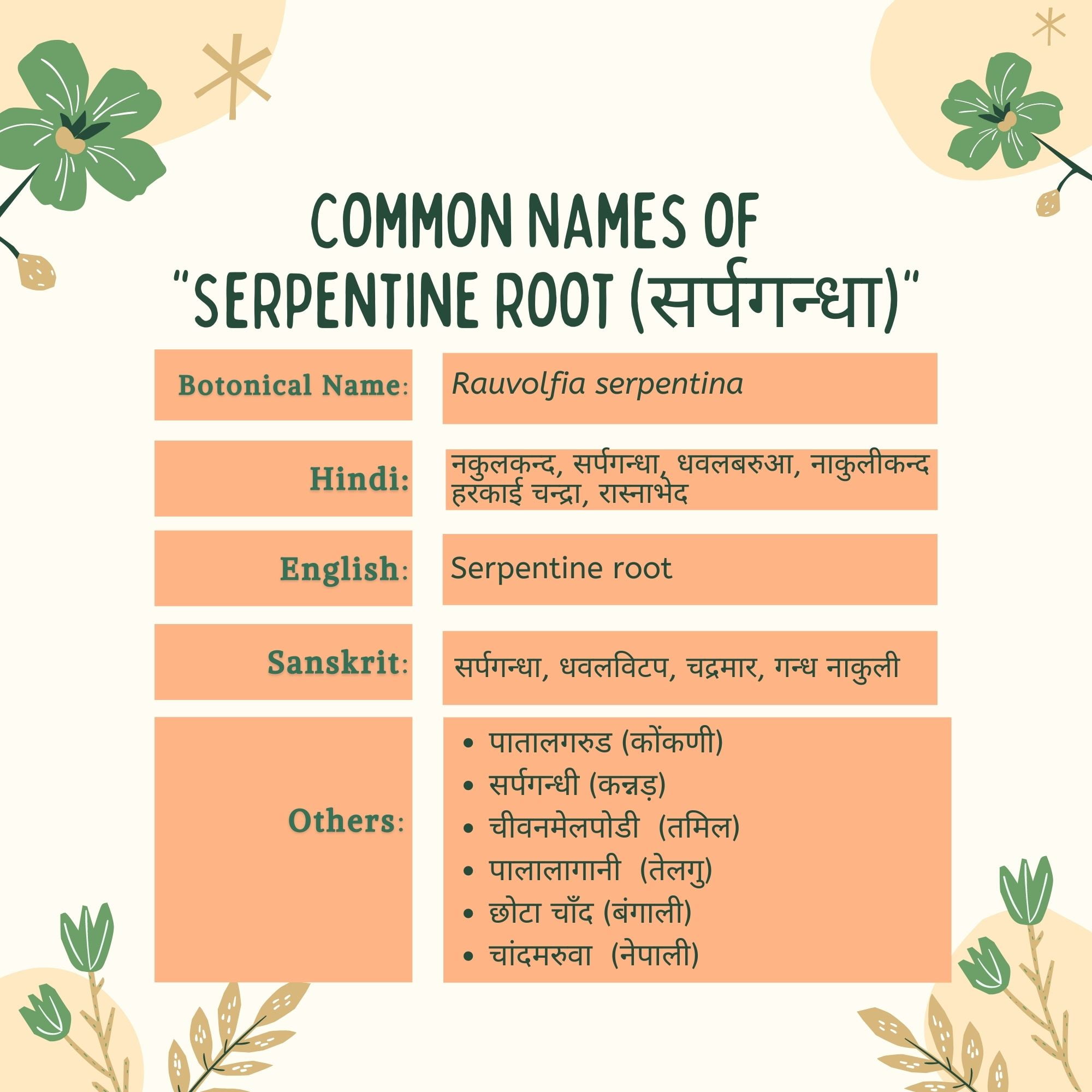 सर्पगन्धा (Sarpgandha) — Herbal Arcade