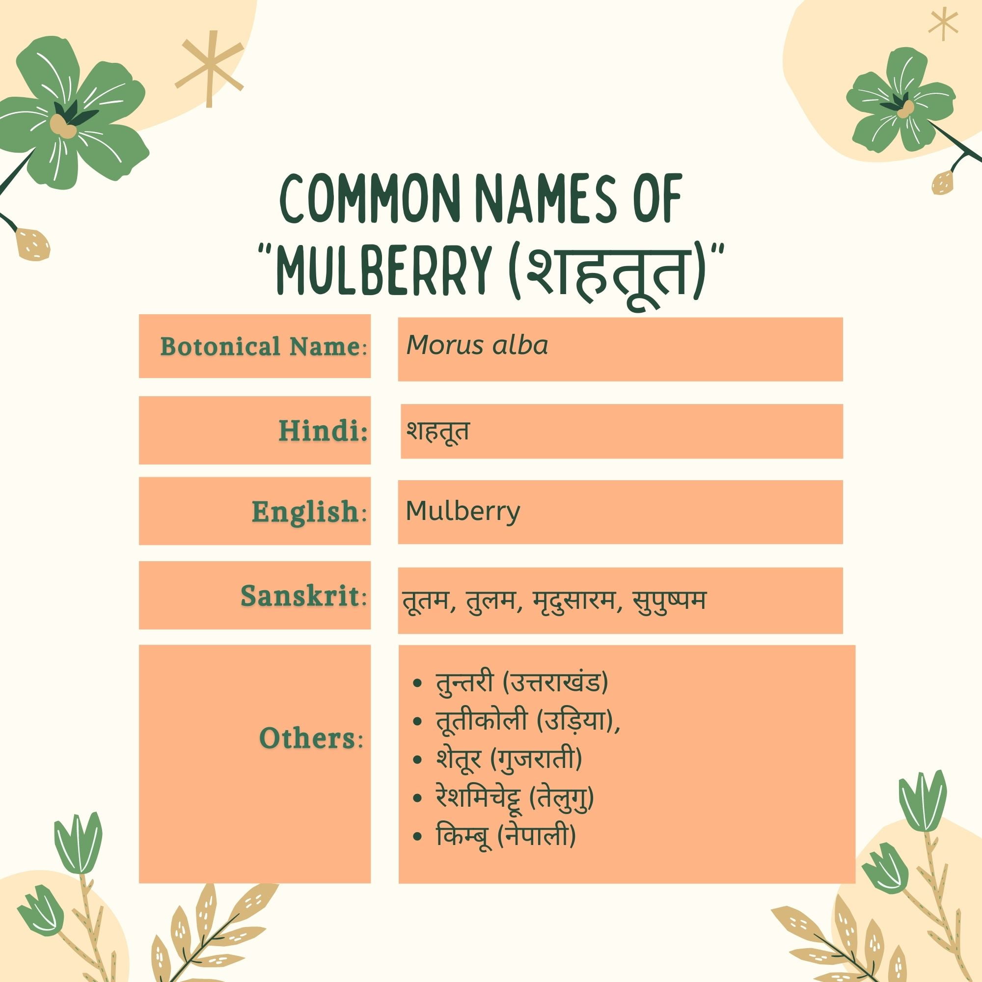 शहतूत (Mulberry): ये रसीला फल है गुणों का पिटारा आइये जाने (Benefits...